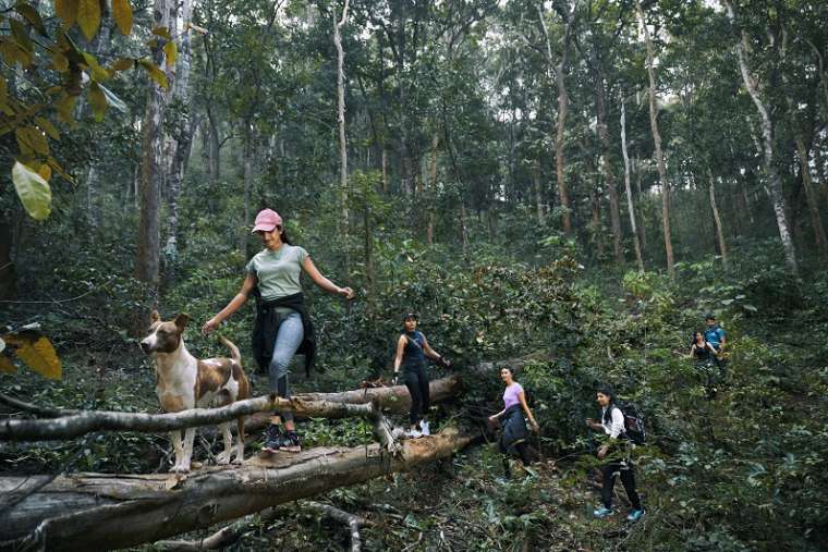 Top 10 Adventure Activities in Dandeli You Must Try!