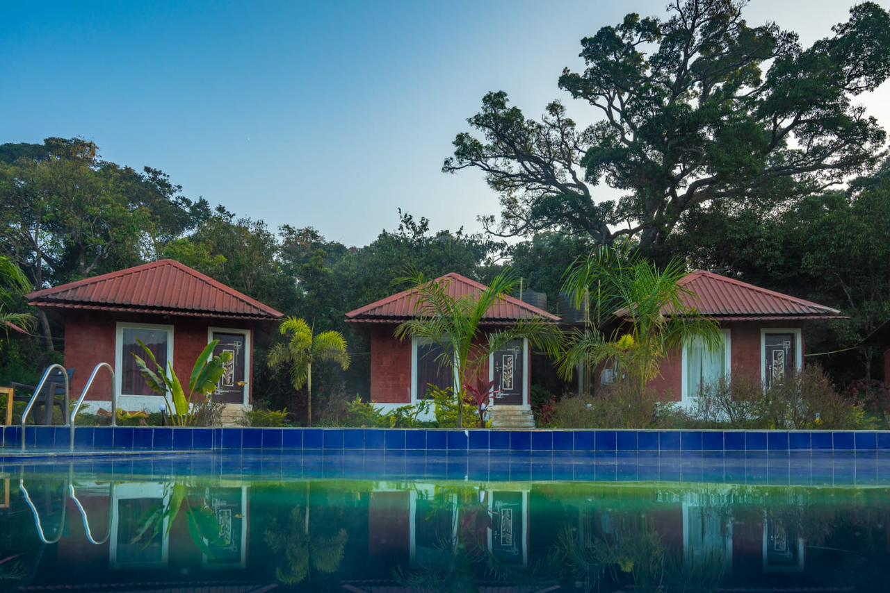Dark Forest Homestay Dandeli | Dandeli Homestay Packages